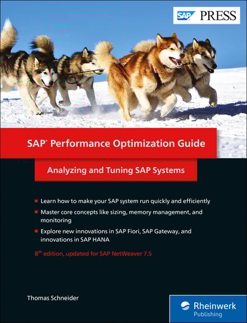 ABAP Debugger: Analyzing Memory Usage of Your Programs ABAP Debugger: Analyzing Memory Usage of Your Programs